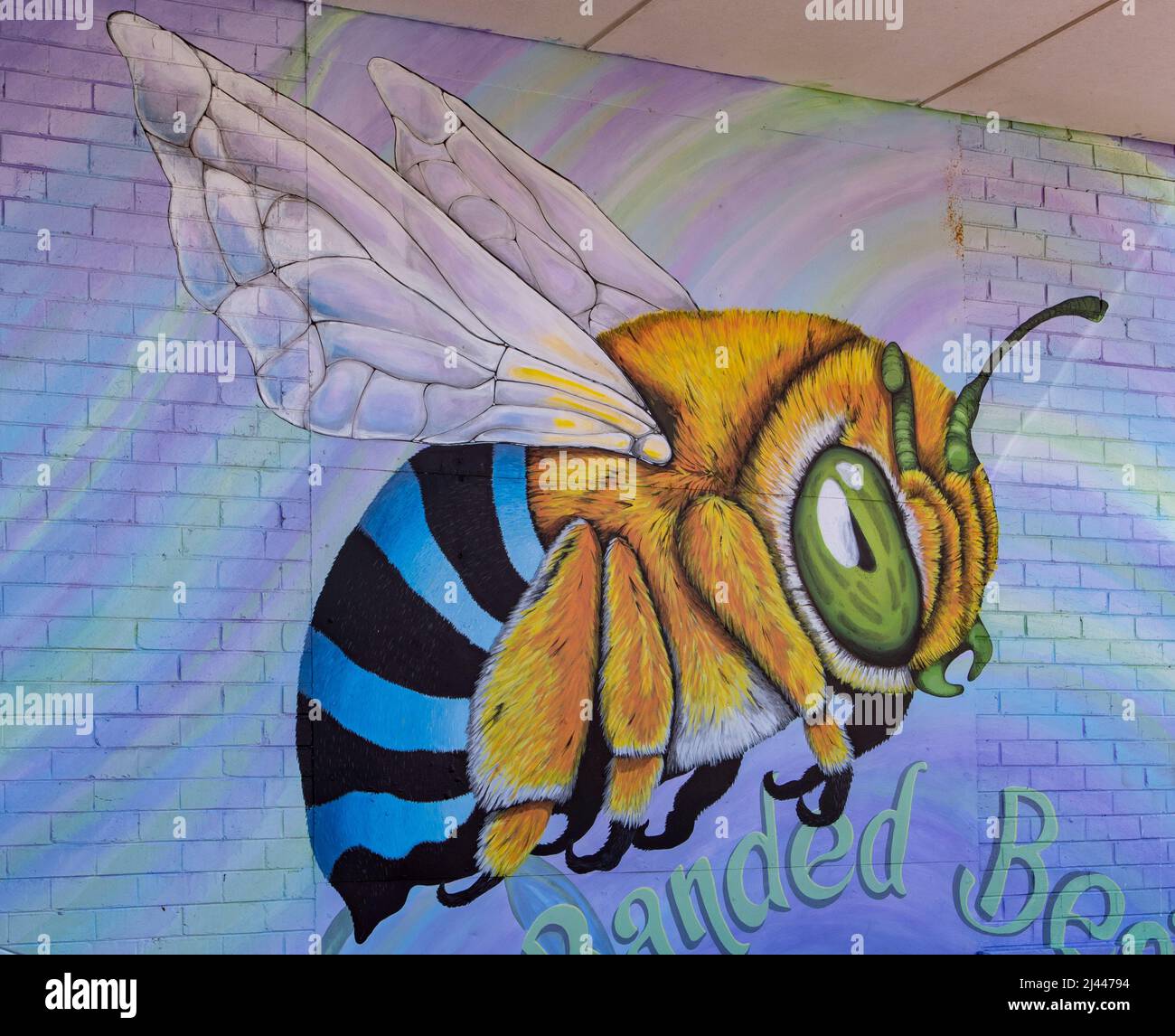 Bee mural hi-res stock photography and images - Alamy