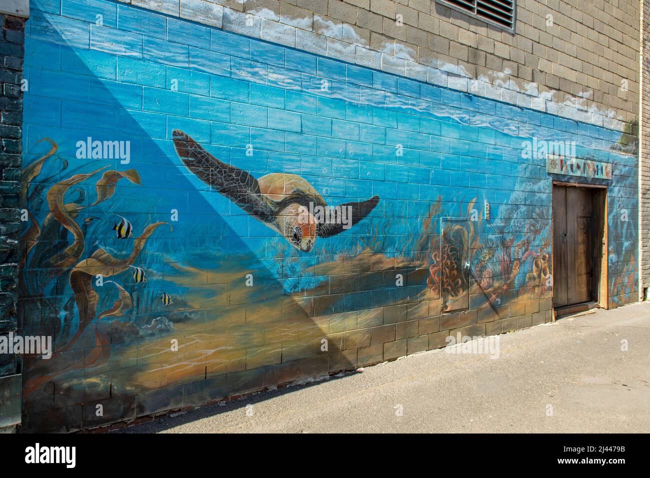 Turtle Street Art, Frankston, Victoria, Australia Stock Photo - Alamy