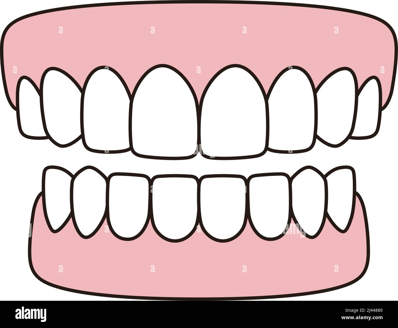 Human teeth model icon, vector illustration Stock Vector Image & Art ...