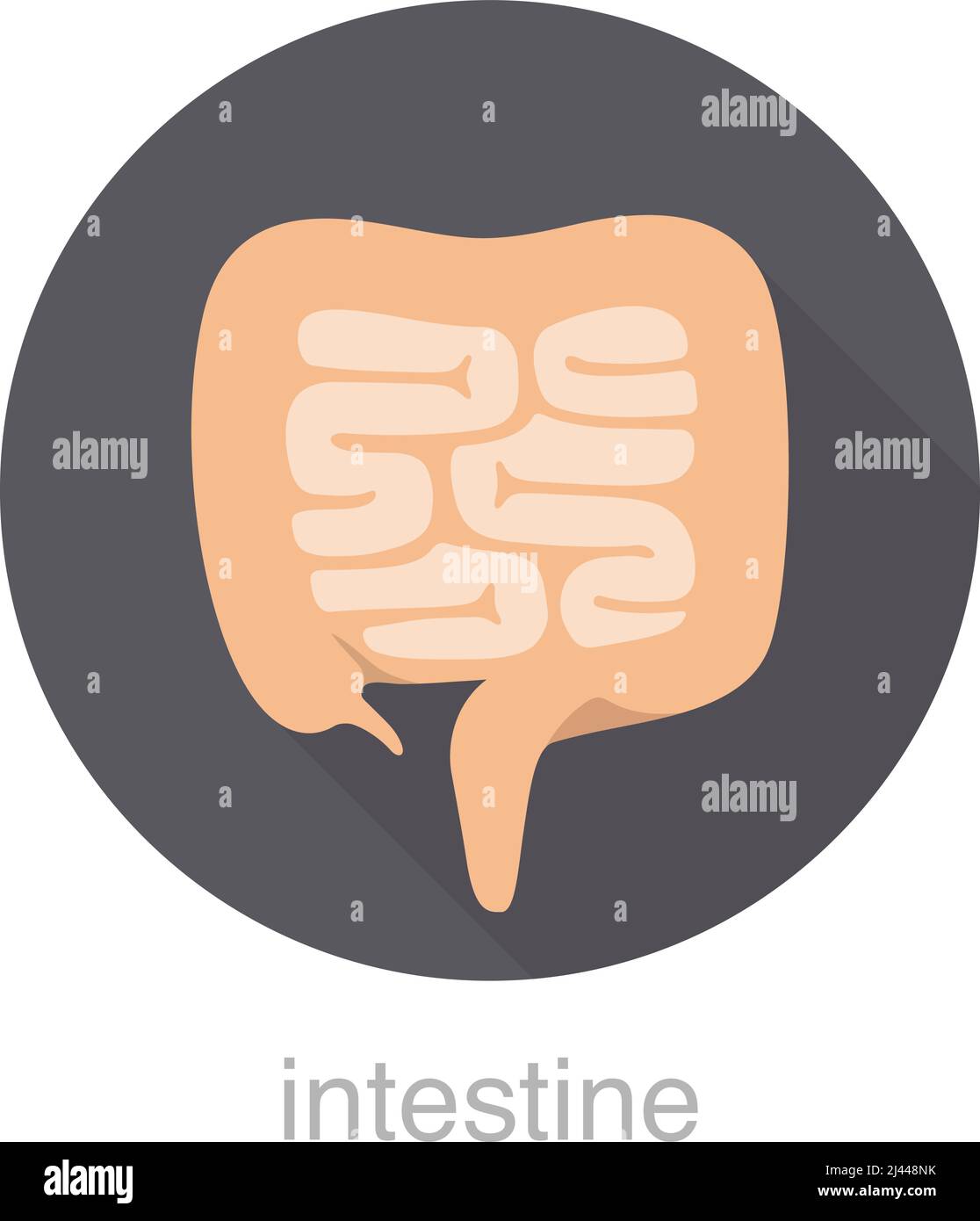 Human colon icon cartoon Cut Out Stock Images & Pictures - Alamy