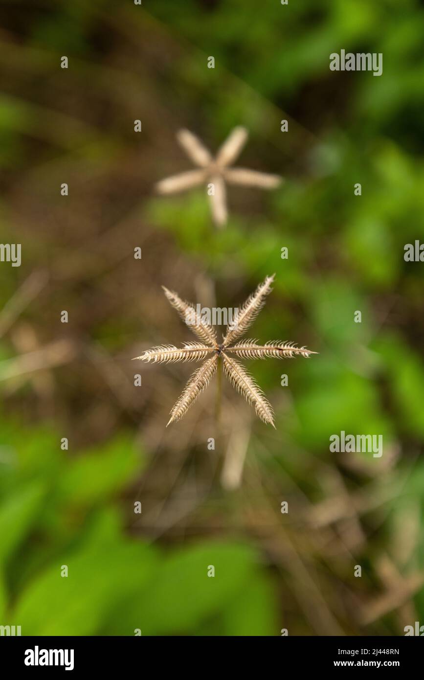 Bird with twisted Stock Photo - Alamy