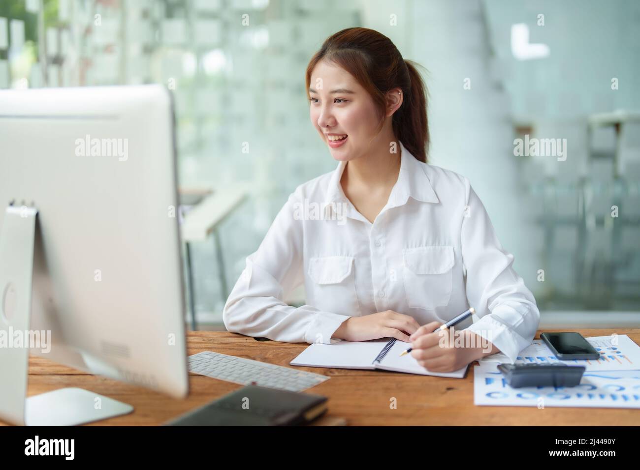 data analysis, plan, marketing, accounting, audit, Portrait of asian ...