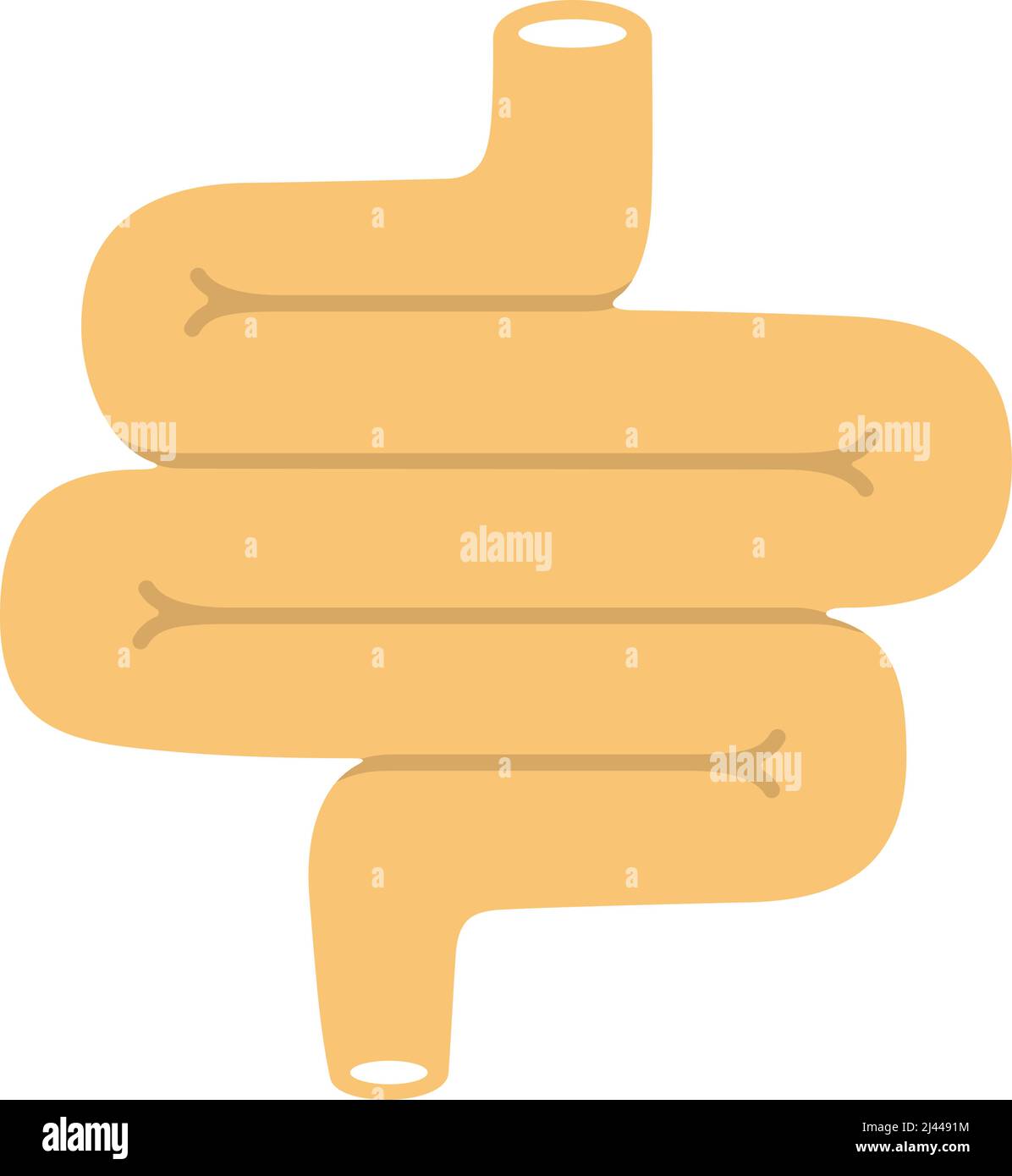 Human organ intestine flat design icon, vector illustration Stock ...