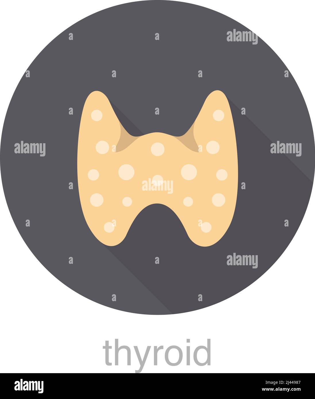 human organ thyroid flat design icon, vector illustration Stock Vector ...