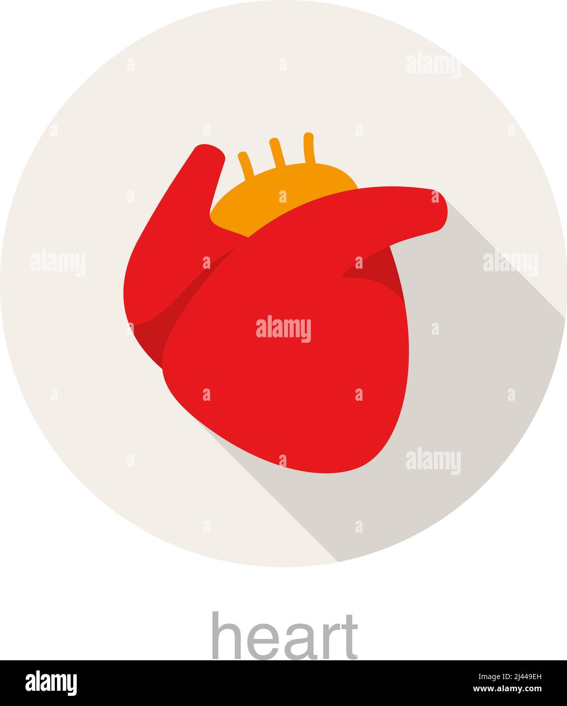 human heart flat design icon, vector illustration Stock Vector Image ...