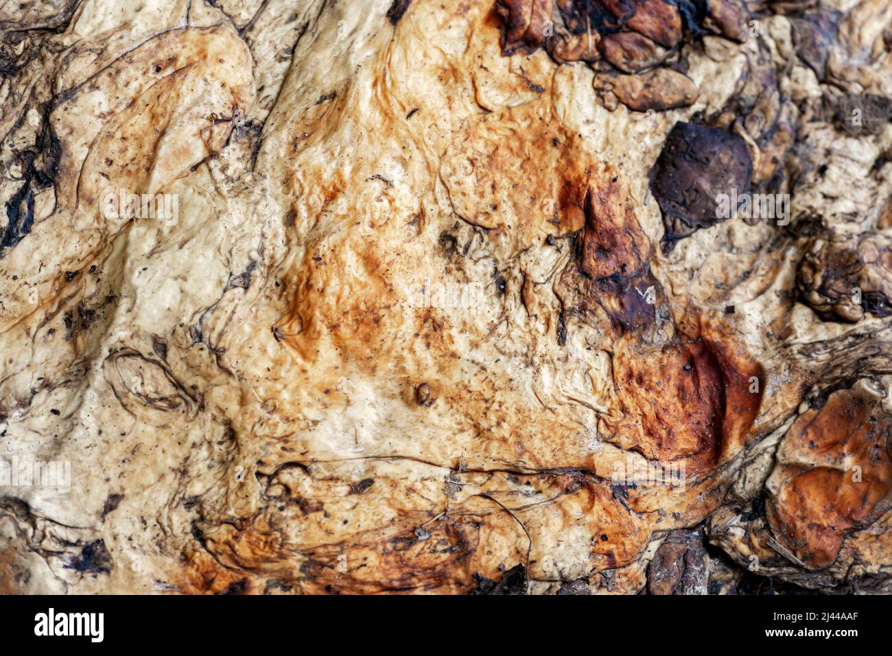 Close up view of raw rubber for industry Stock Photo - Alamy