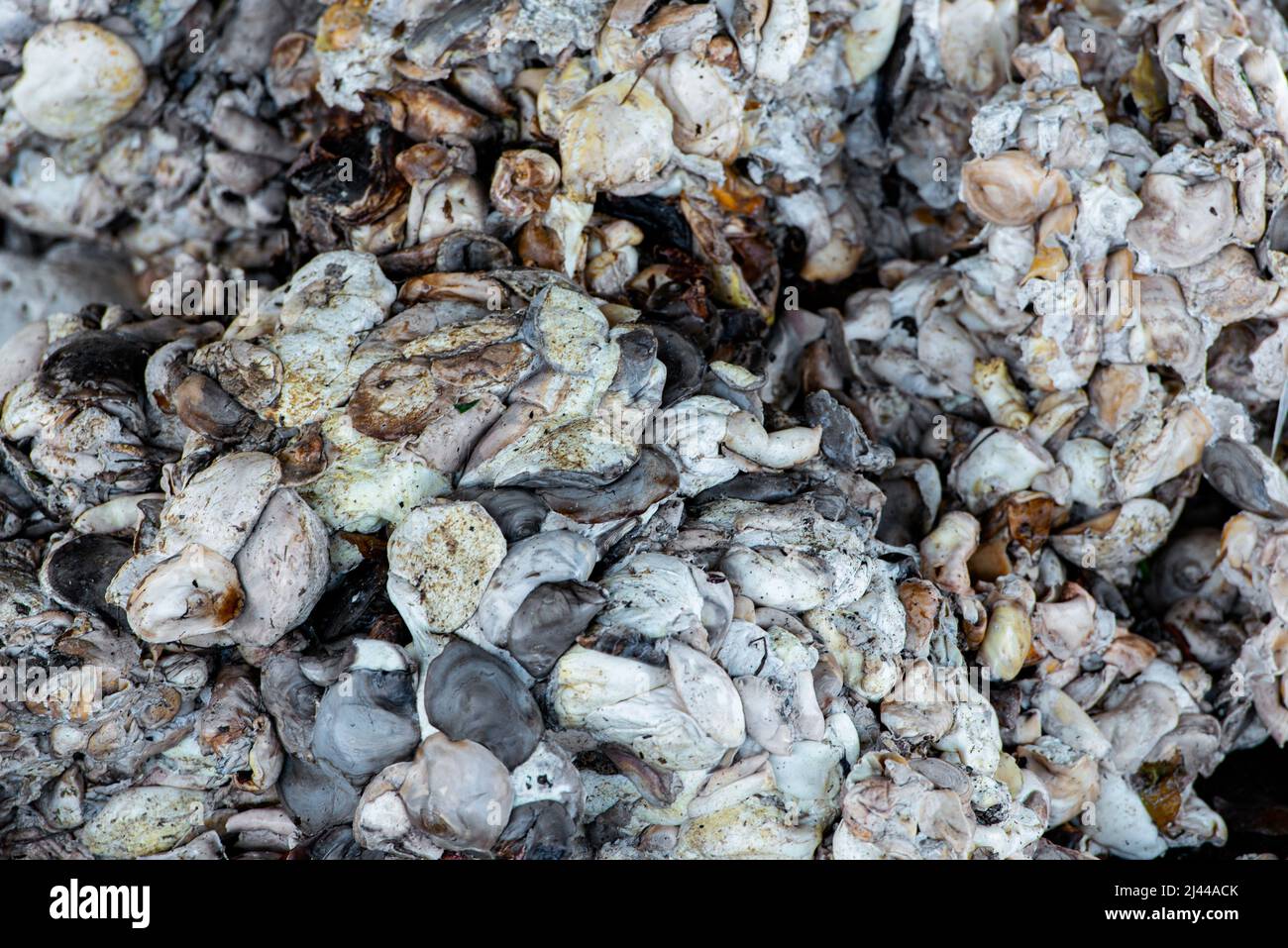 Raw rubber hi-res stock photography and images - Alamy