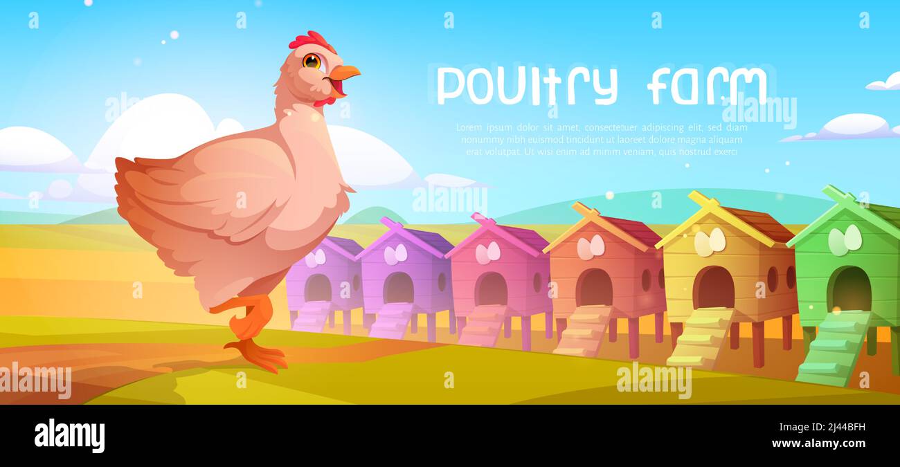 Poultry farm cartoon banner with chicken and coops on agricultural ...