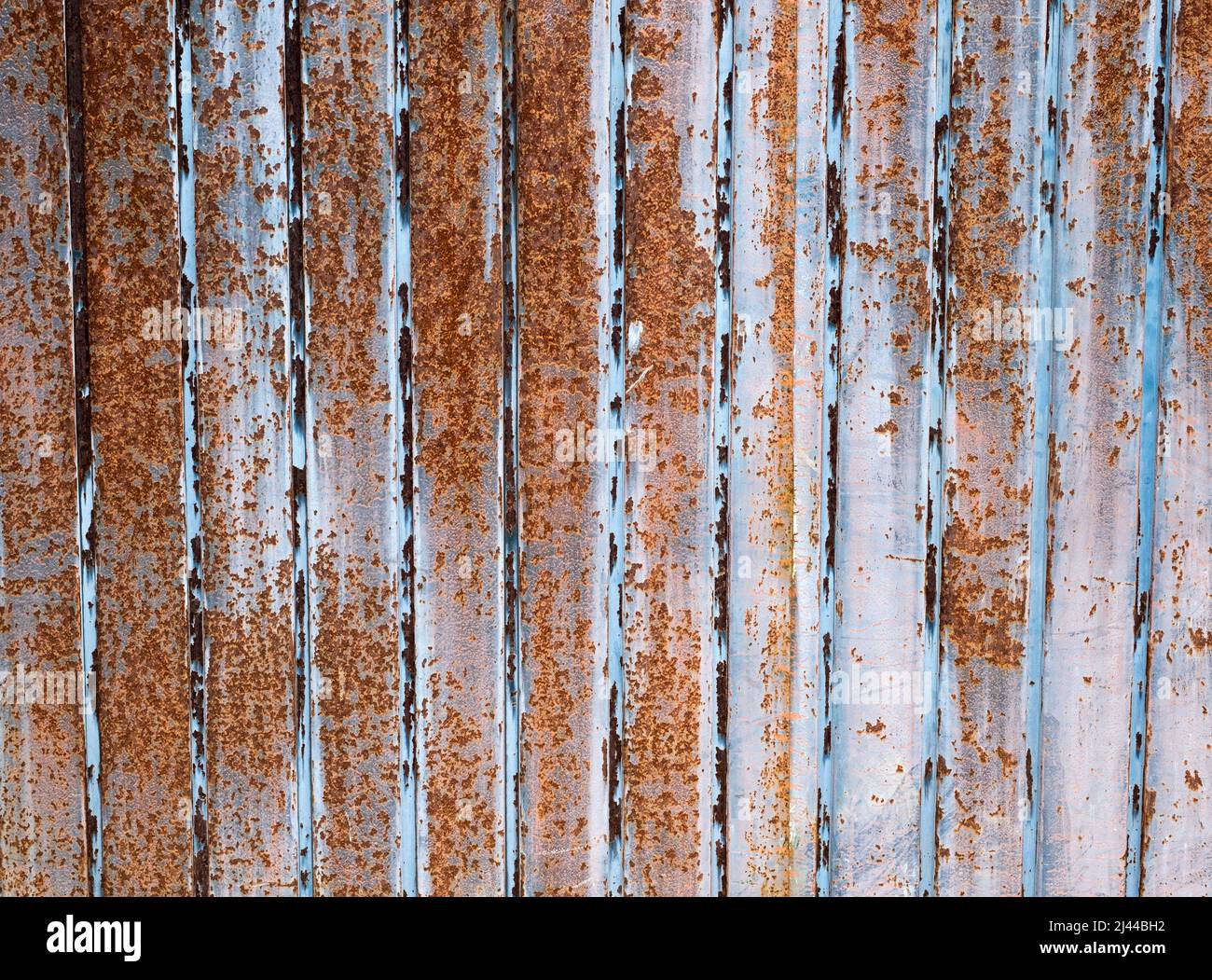 Rusted Corrugated Metal Panel Texture