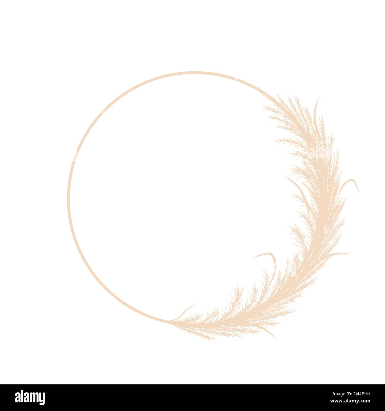 Circle frame with dry pampas grass. Wreath of beige cortaderia in boho ...