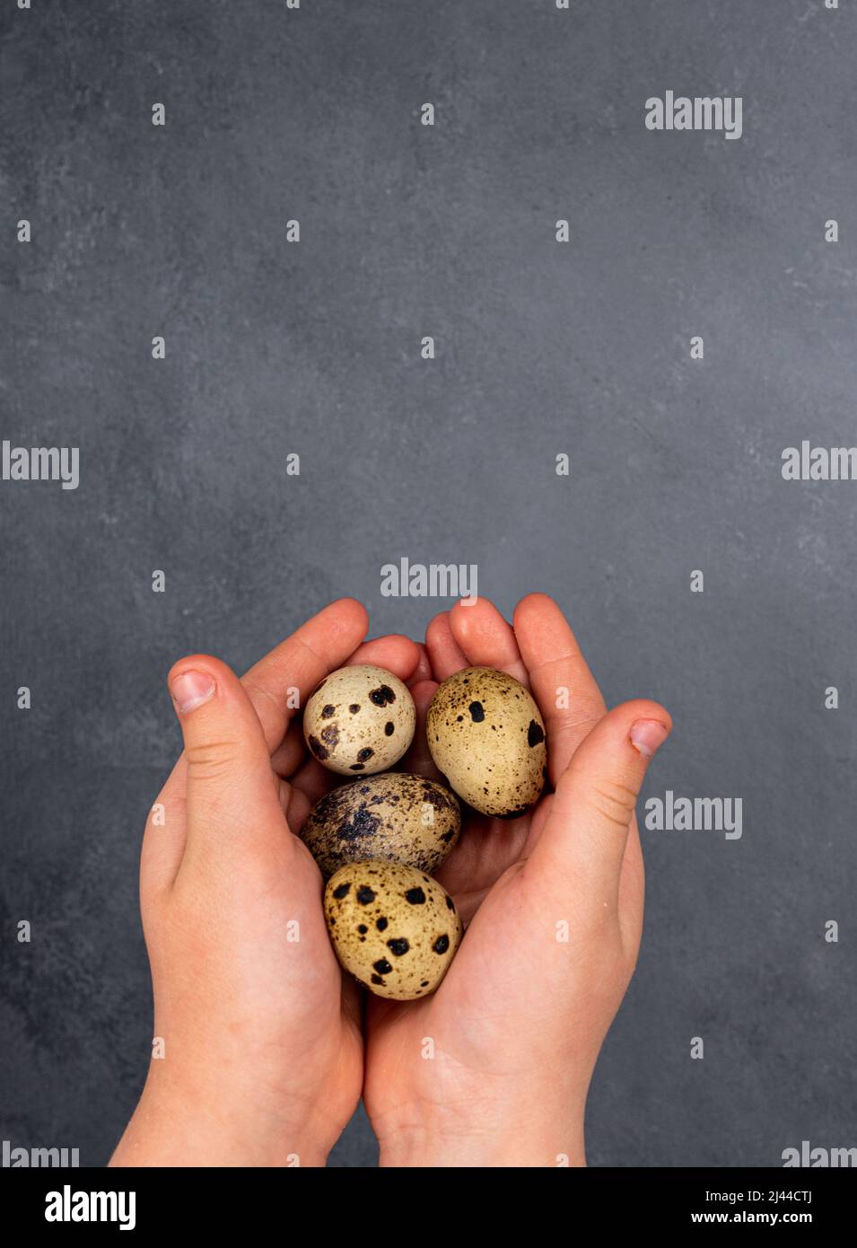 Collects eggs hi-res stock photography and images - Alamy