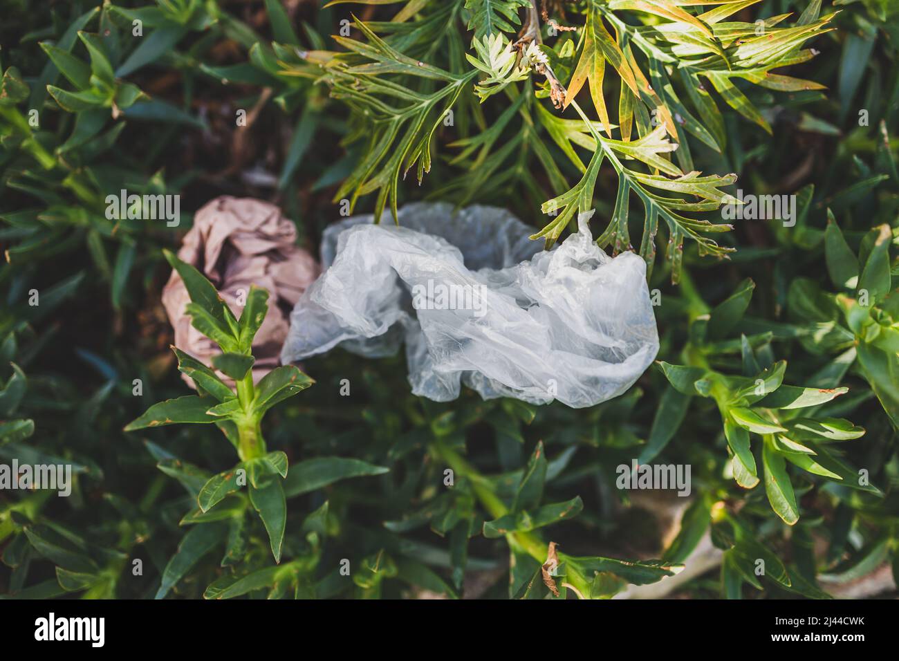 plastic bags and litter abandoned in nature among beautiful plants ...