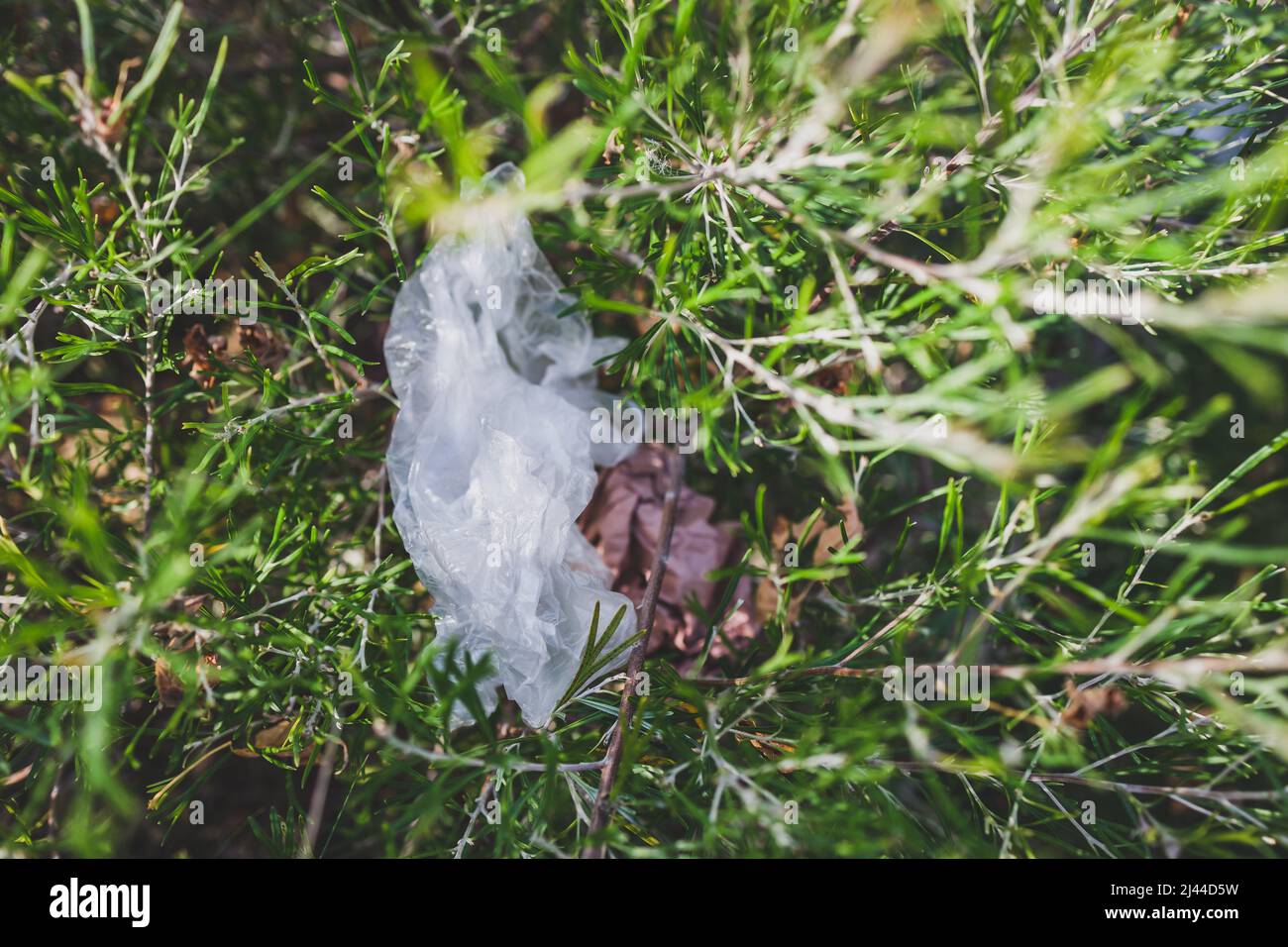plastic bags and litter abandoned in nature among beautiful plants ...