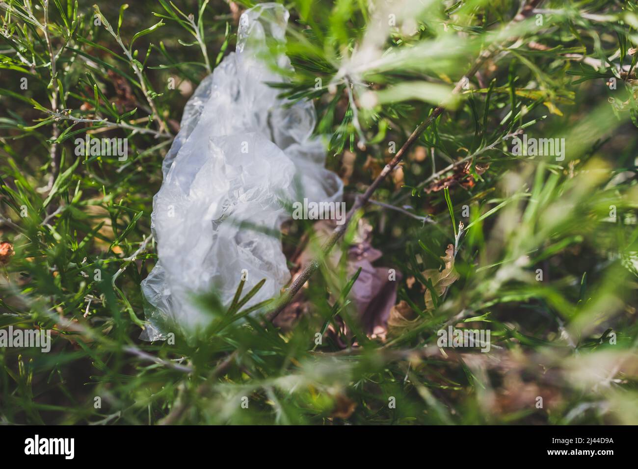 plastic bags and litter abandoned in nature among beautiful plants ...