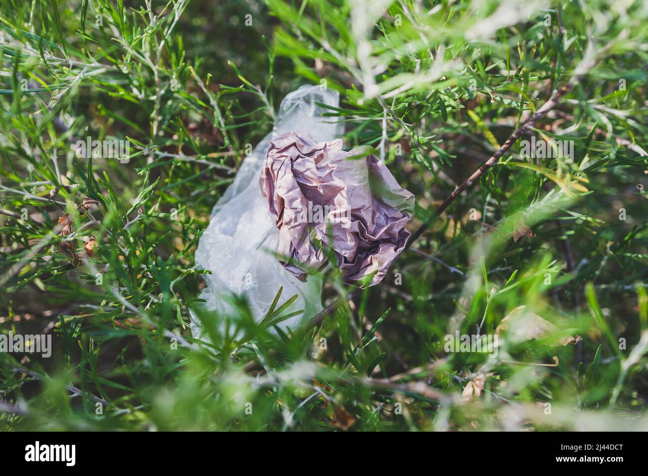 plastic bags and litter abandoned in nature among beautiful plants ...