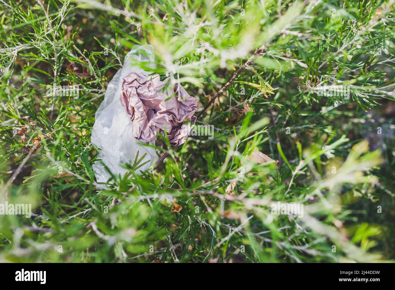plastic bags and litter abandoned in nature among beautiful plants ...