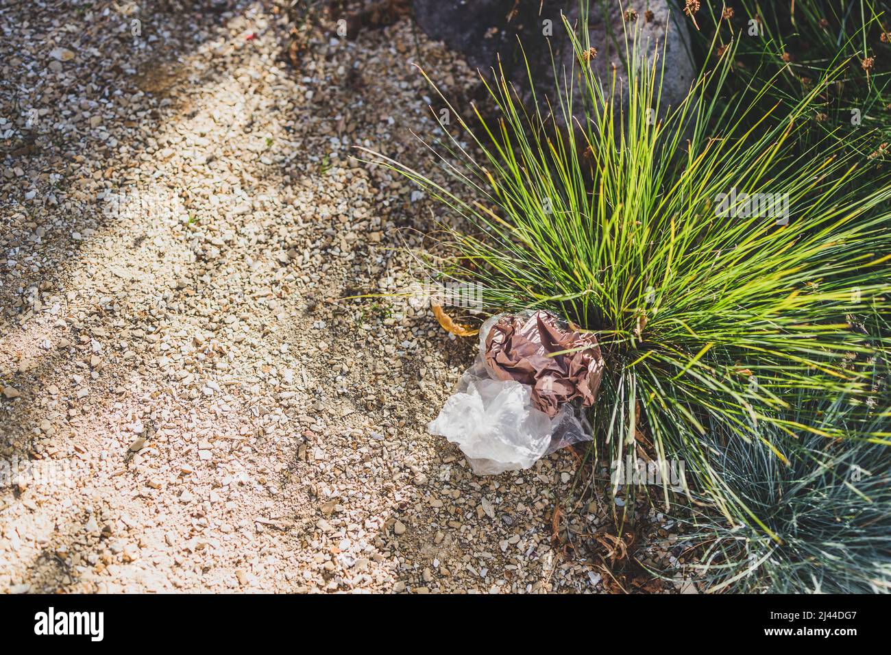 plastic bags and litter abandoned in nature among beautiful plants ...
