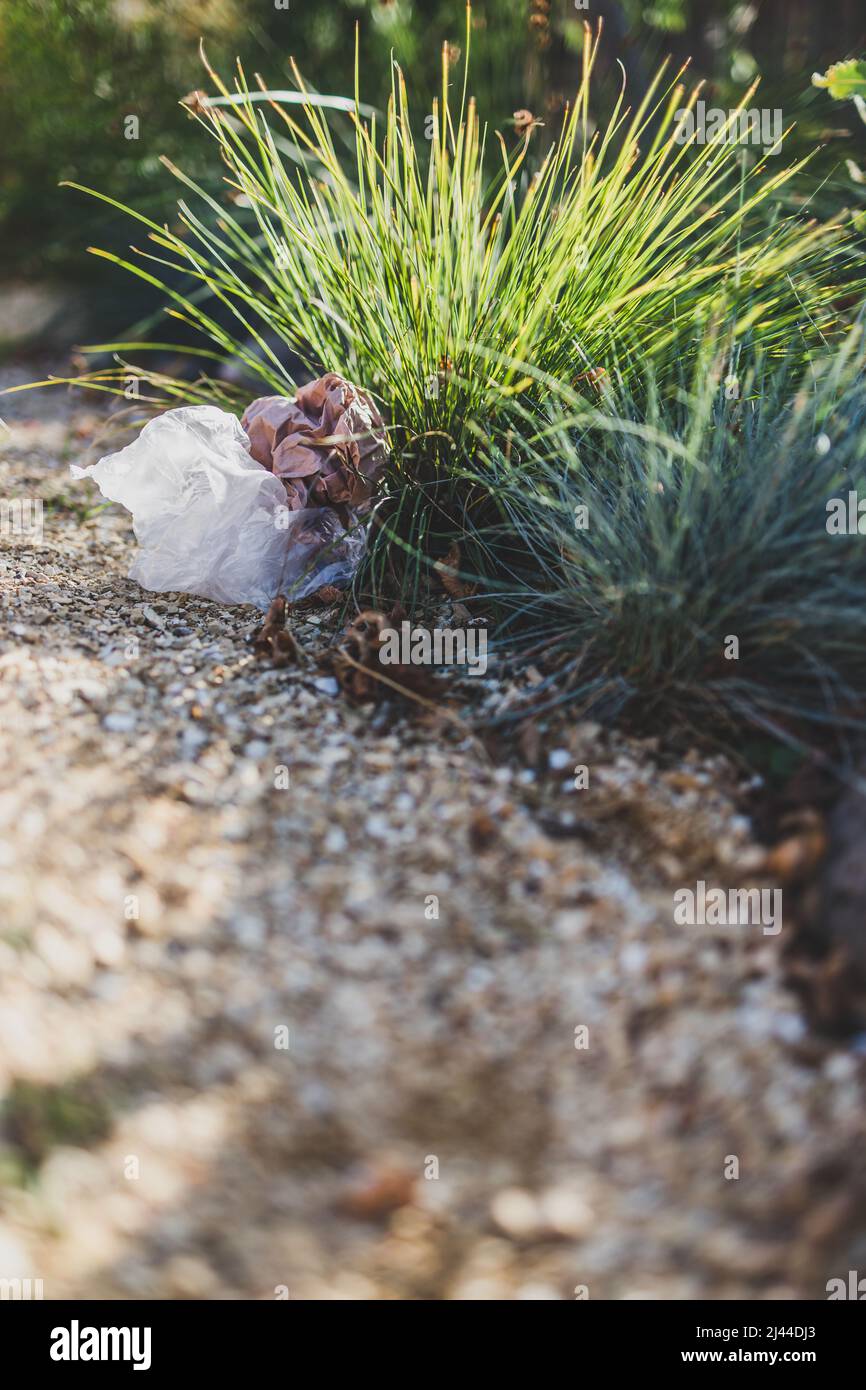 plastic bags and litter abandoned in nature among beautiful plants ...