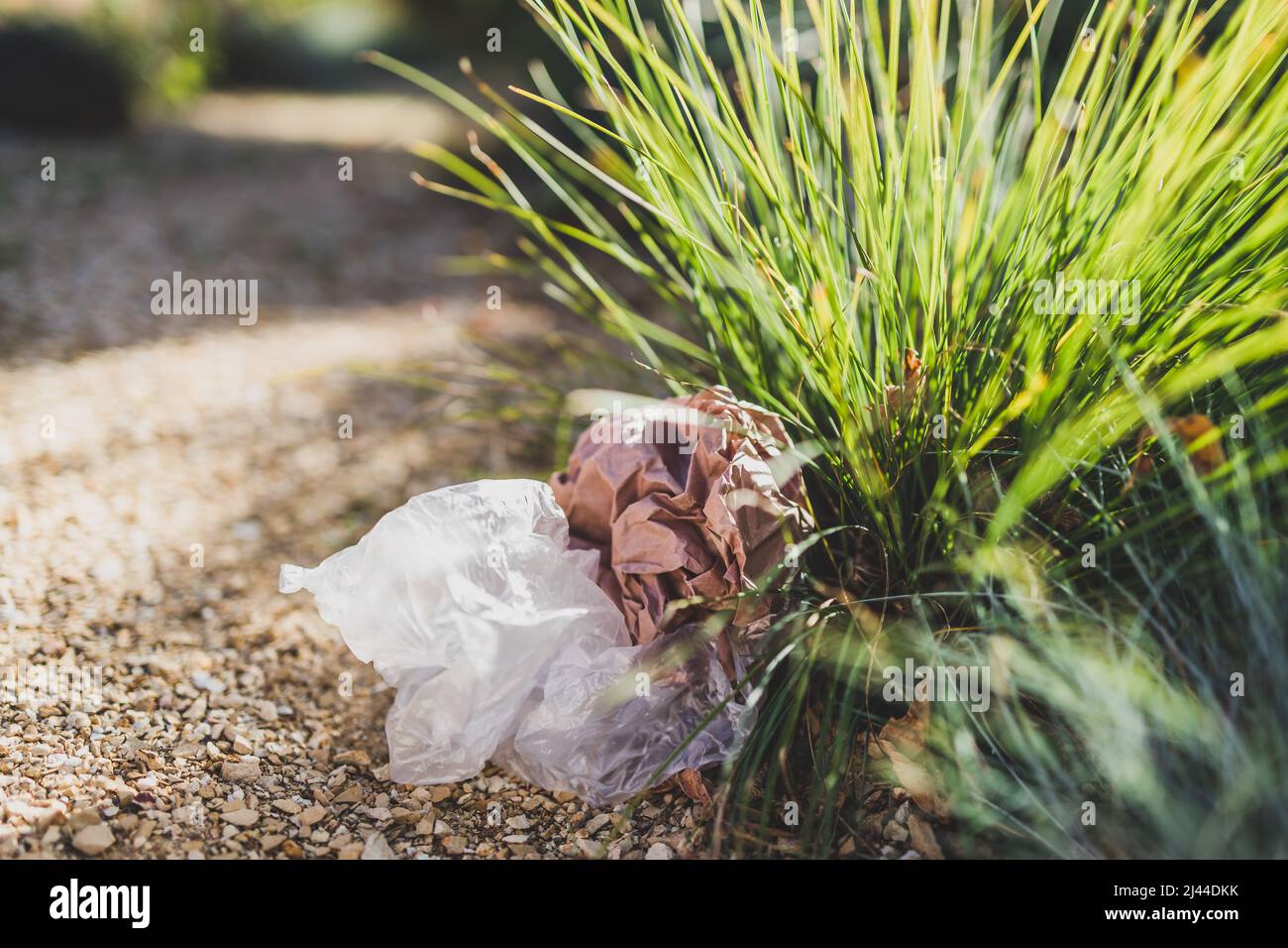 plastic bags and litter abandoned in nature among beautiful plants ...