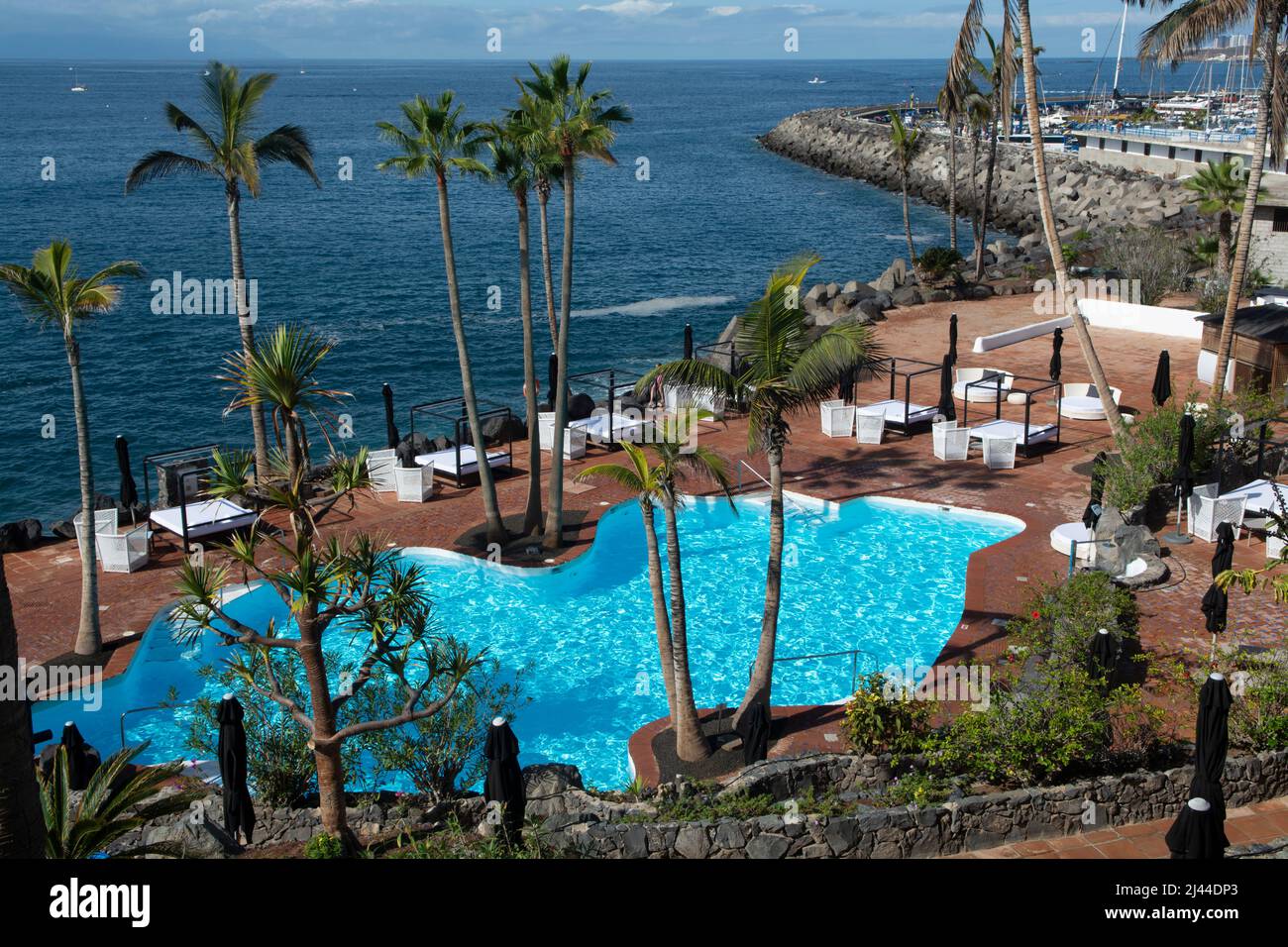 Beach club with blue swimming pool and palm trees on coast of Atlantic ...