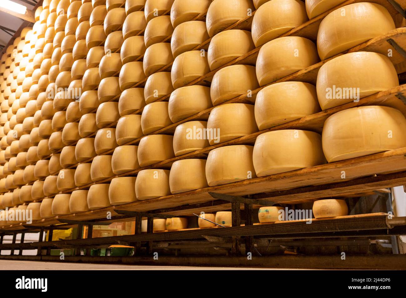 Process of making parmigiano-reggiano parmesan hard cheese on small ...