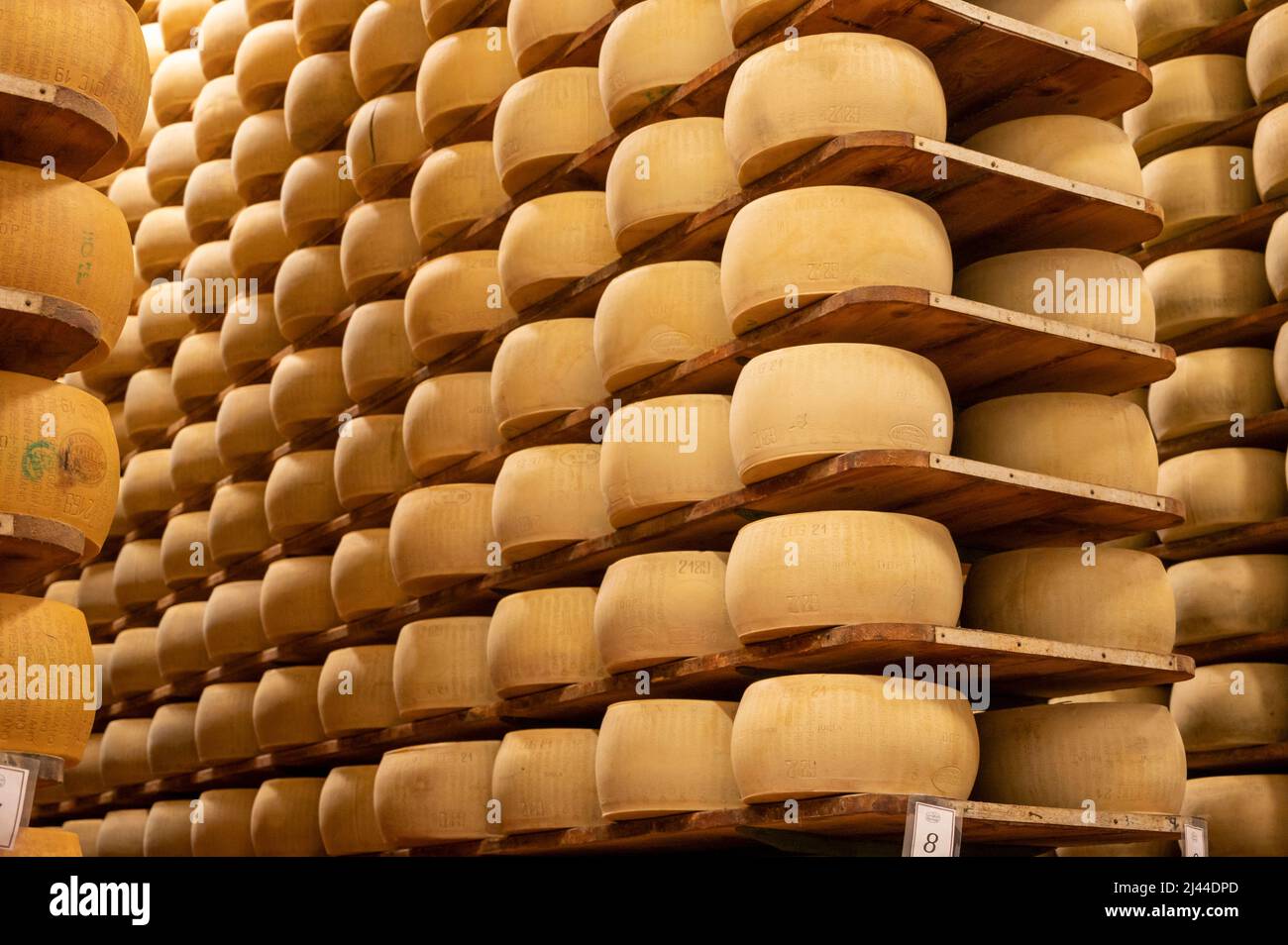 Process of making parmigiano-reggiano parmesan hard cheese on small ...