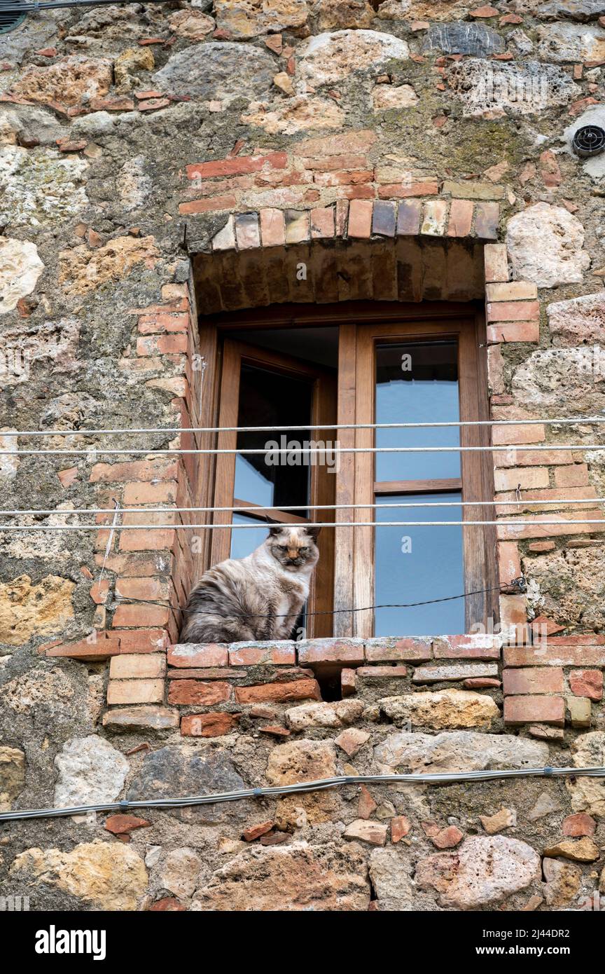 Houses inside old town walls in medieval fortress town on hilltop ...