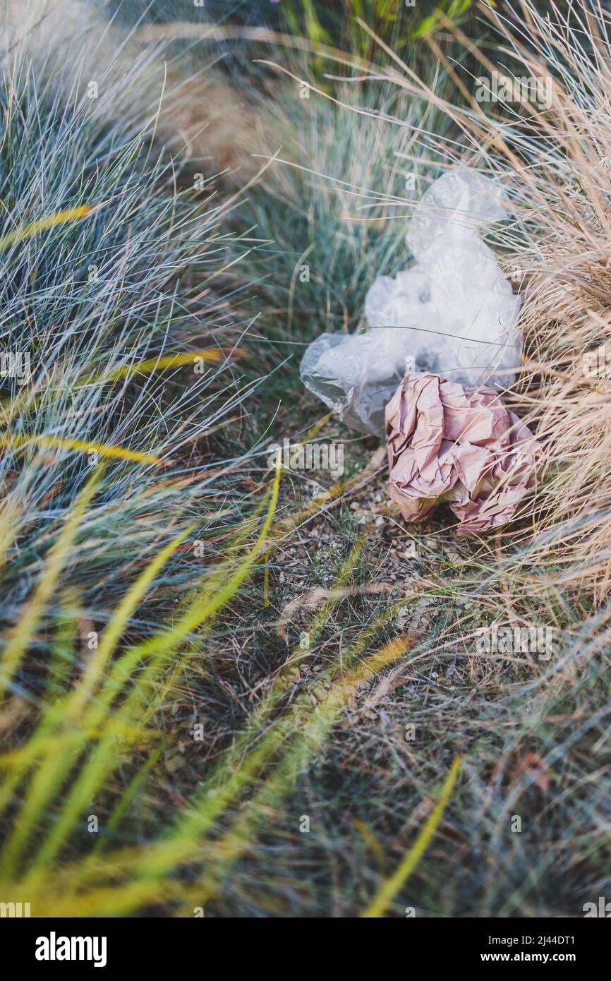 plastic bags and litter abandoned in nature among beautiful plants ...