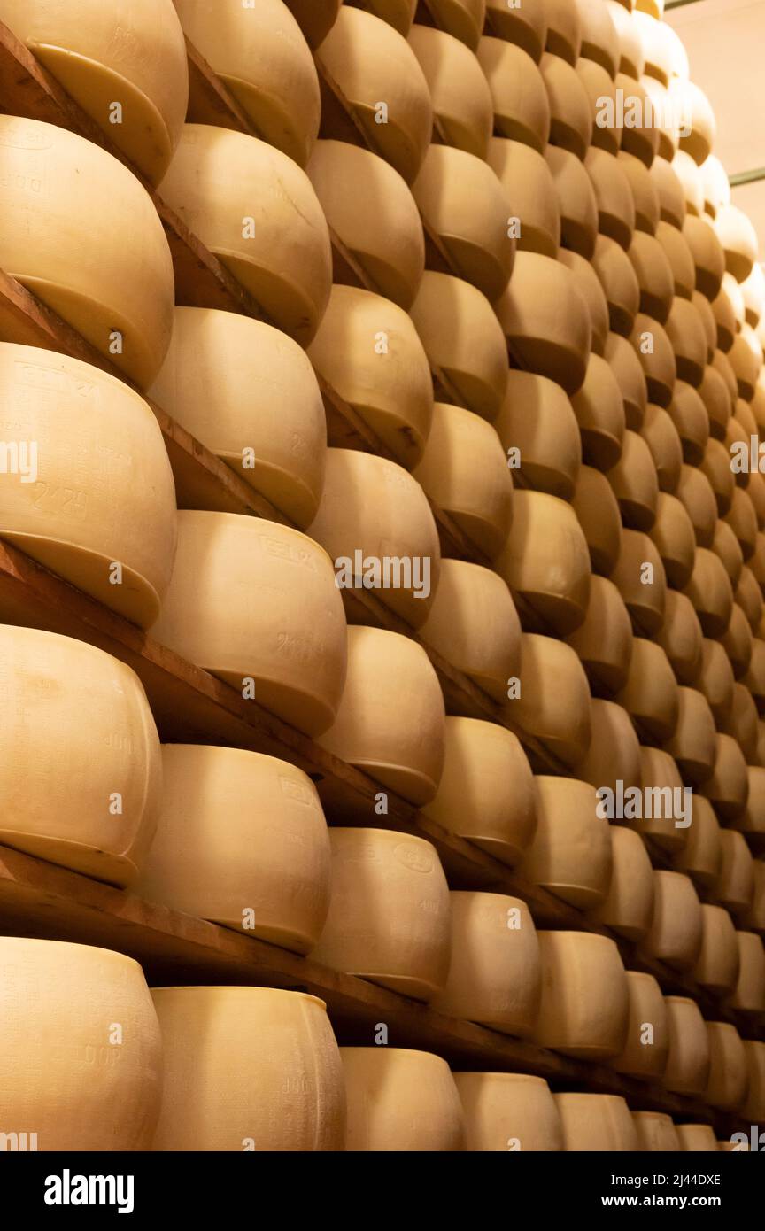 Process of making parmigiano-reggiano parmesan hard cheese on small ...