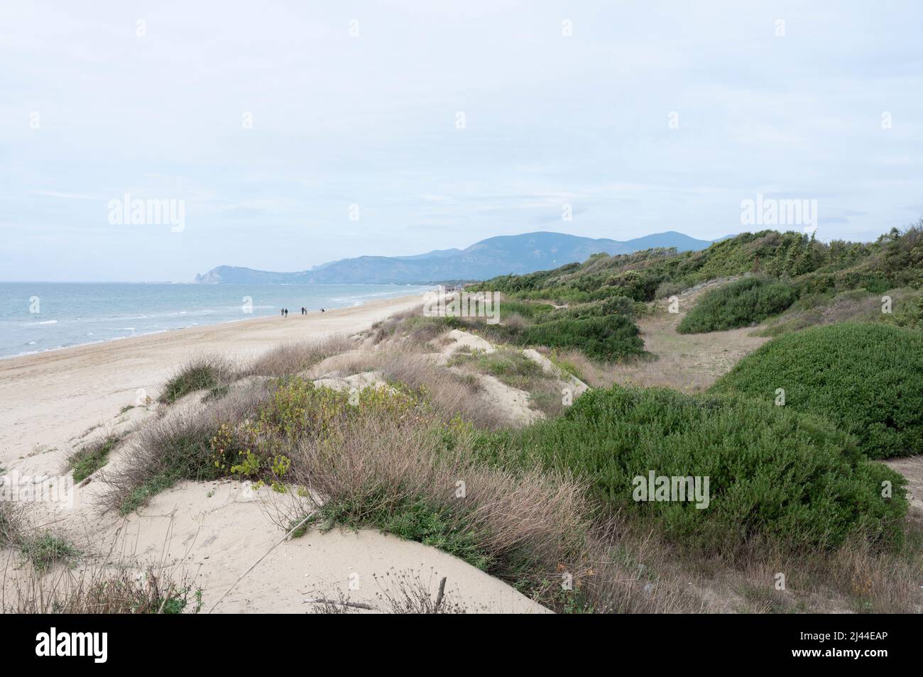Terracina dunes hi-res stock photography and images - Alamy