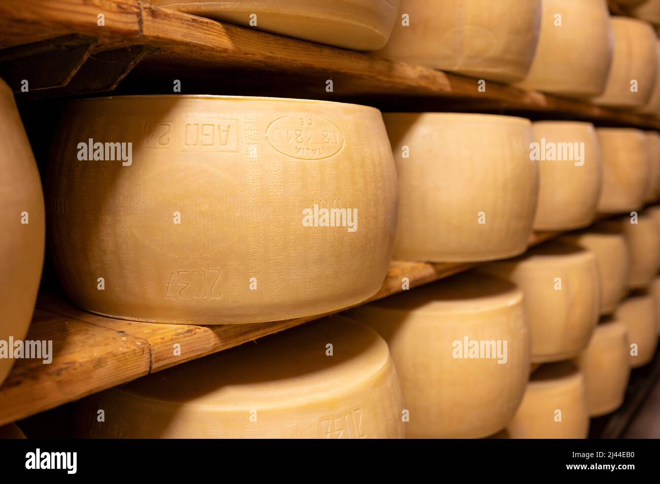 Process of making parmigiano-reggiano parmesan hard cheese on small ...