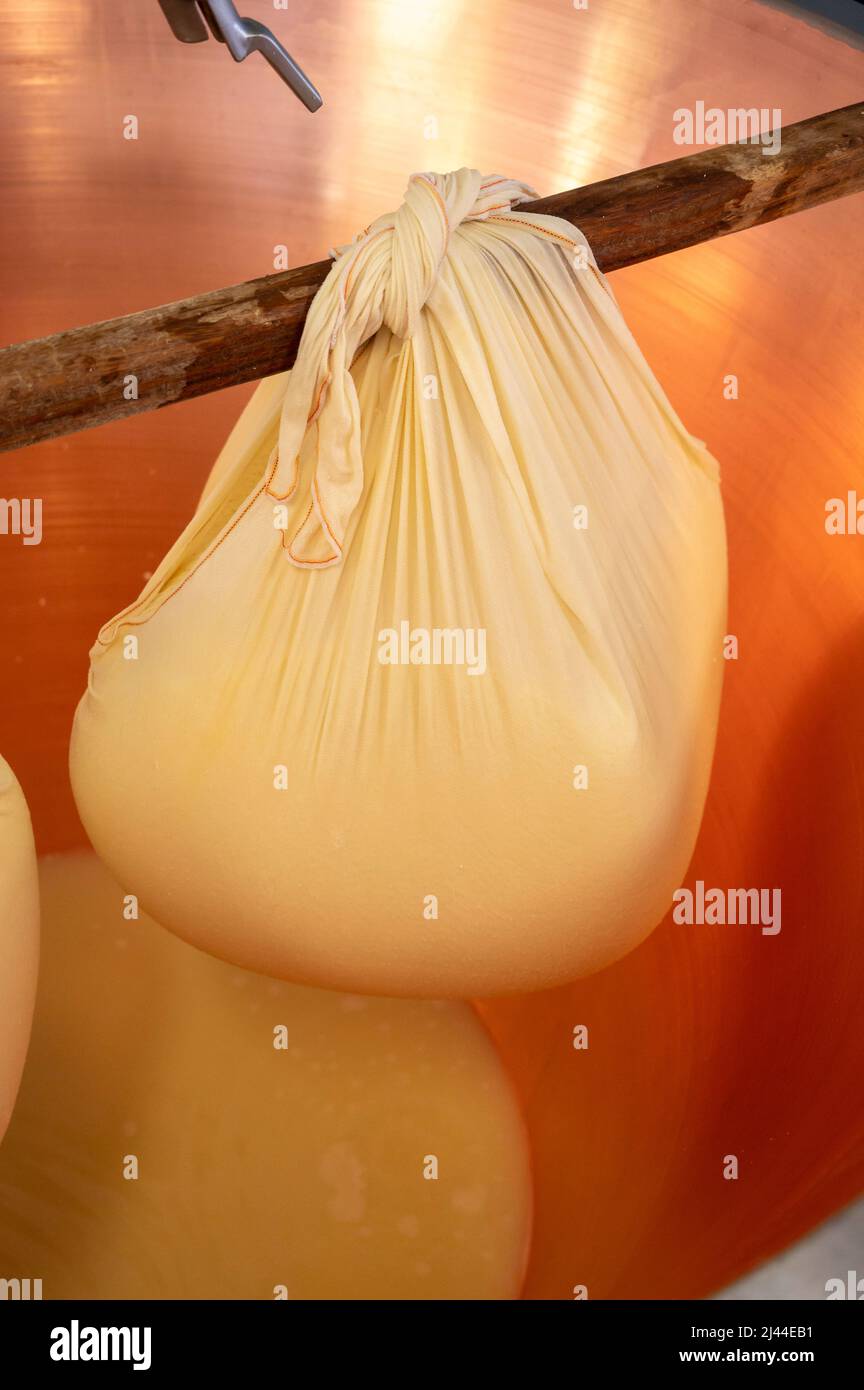 Traditional process of making from cow milk wheels of parmigiano ...