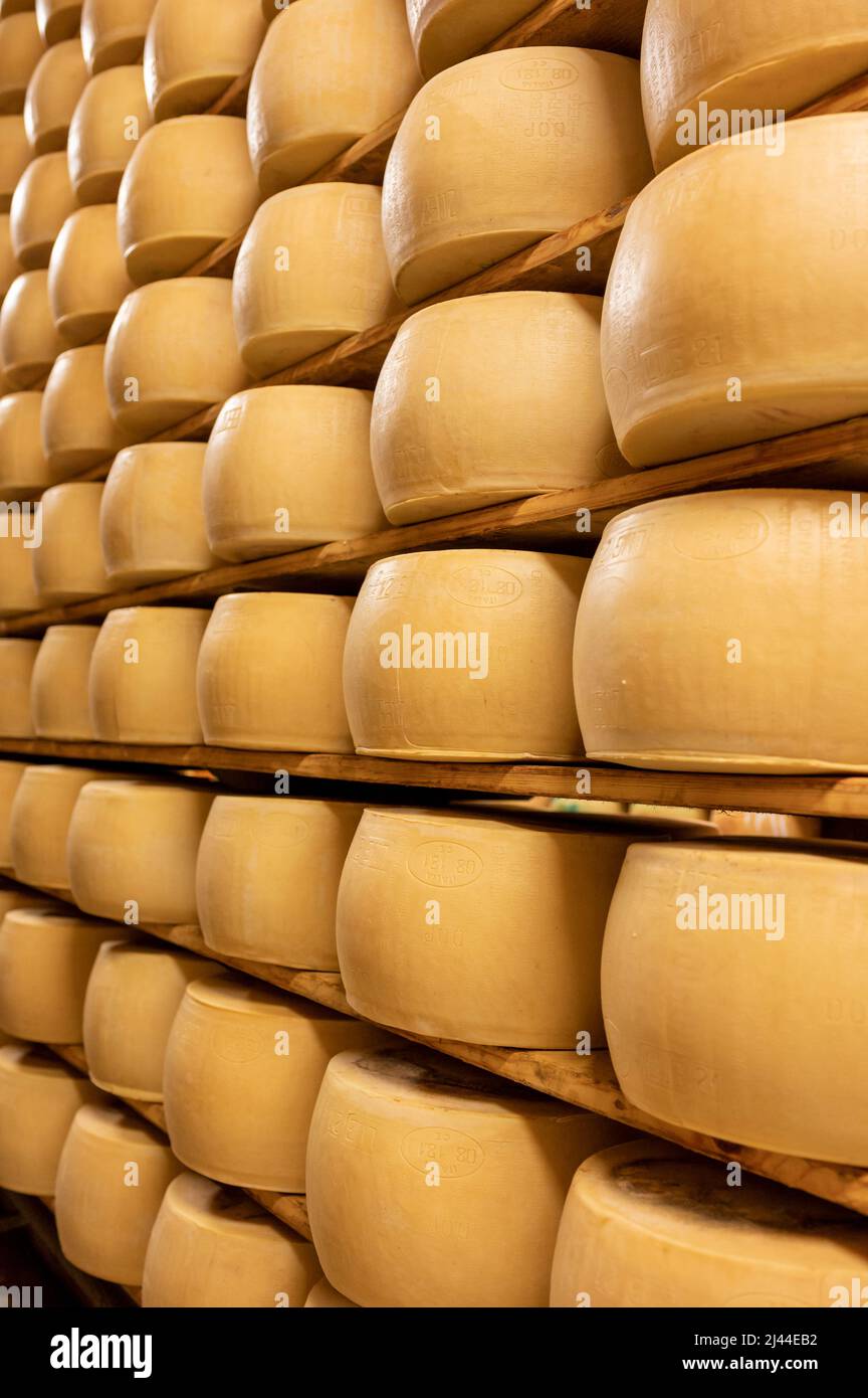 Process of making parmigiano-reggiano parmesan hard cheese on small ...
