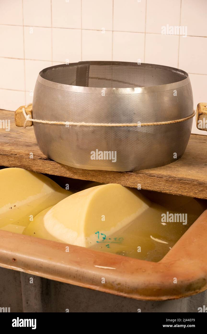 Process of making parmigiano-reggiano parmesan hard cheese on small ...