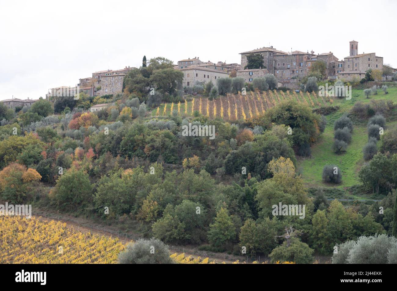 Walking on hills near Abbazia Sant'Antimo, Montalcino, Tuscany, Italy ...