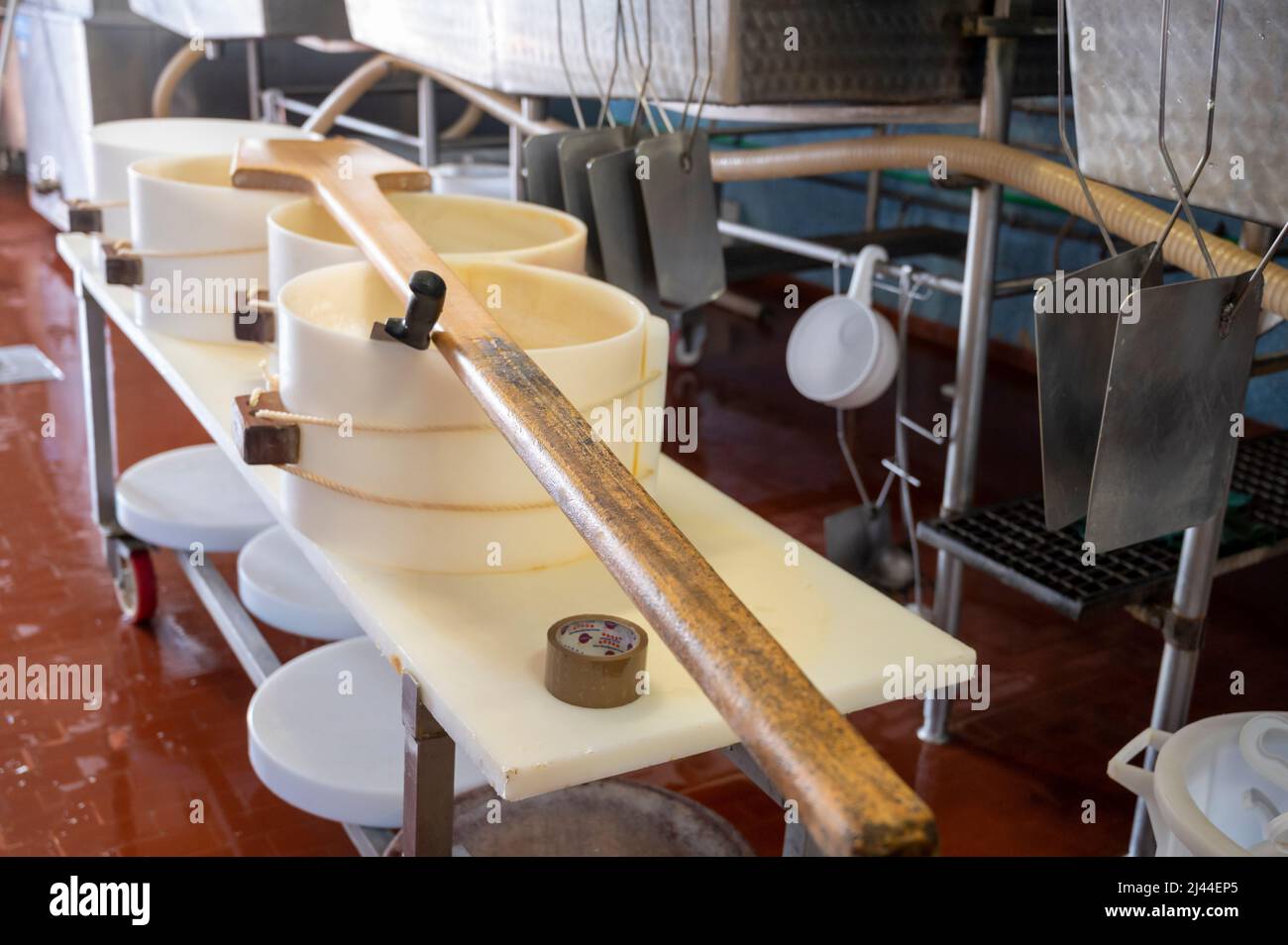 Traditional process of making from cow milk wheels of parmigiano ...