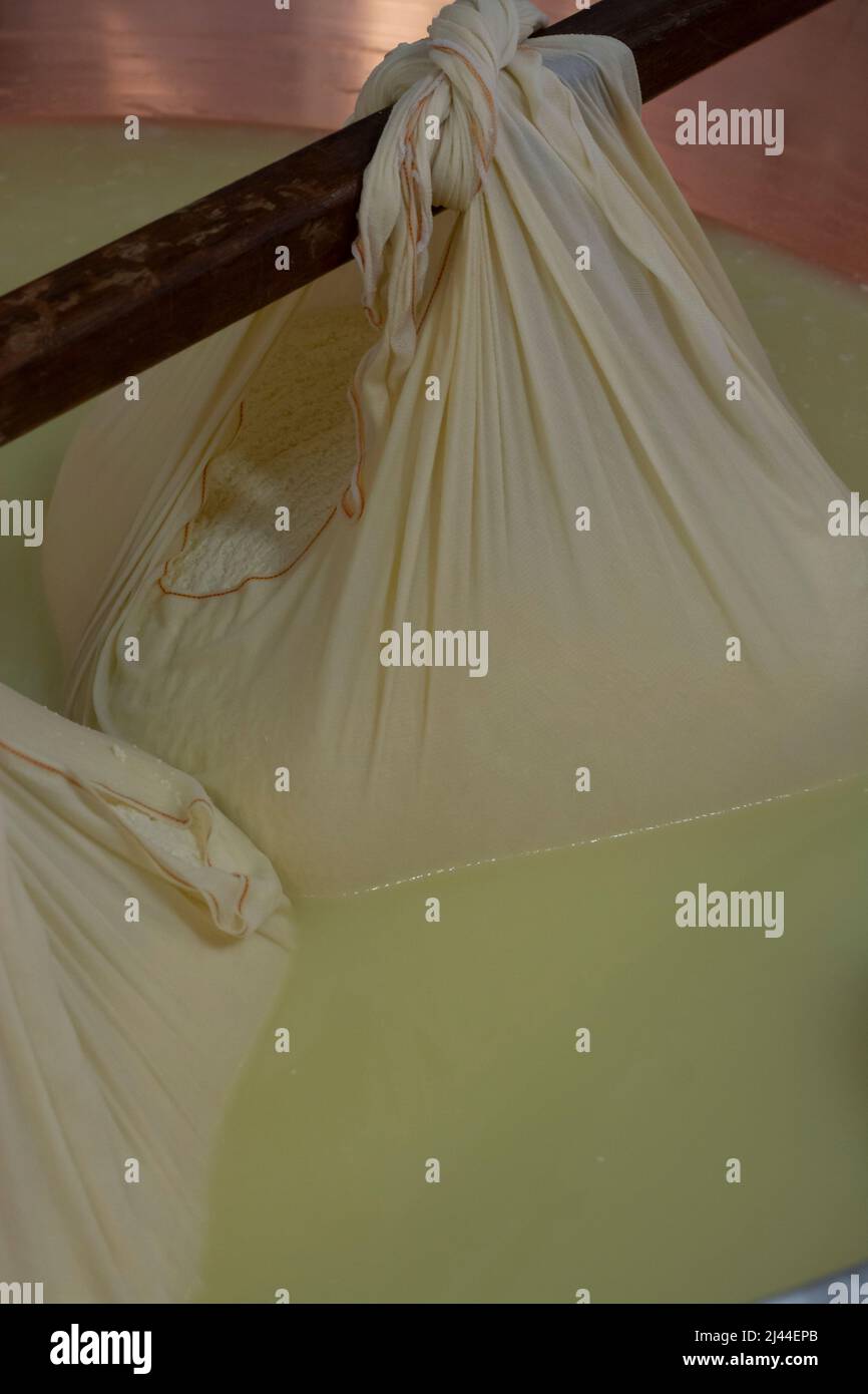 Traditional process of making from cow milk wheels of parmigiano ...