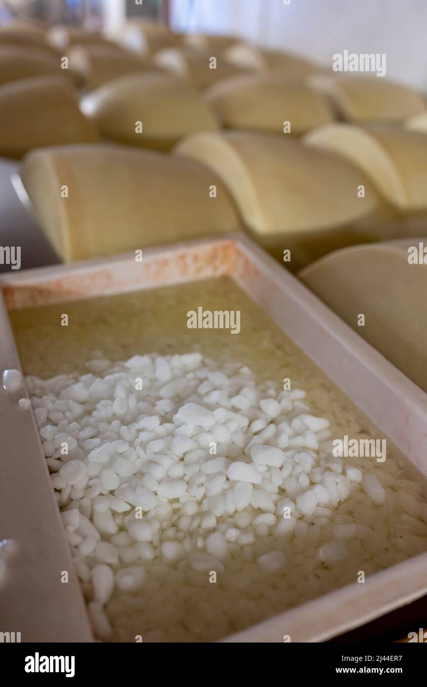 Process of making parmigiano-reggiano parmesan hard cheese on small ...