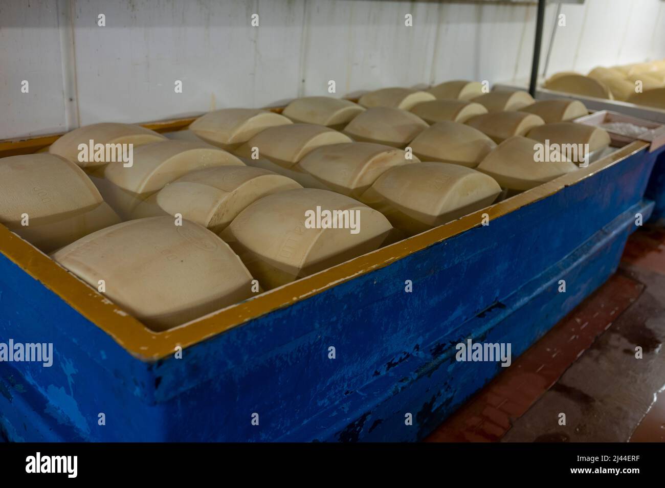 Process of making parmigiano-reggiano parmesan hard cheese on small ...