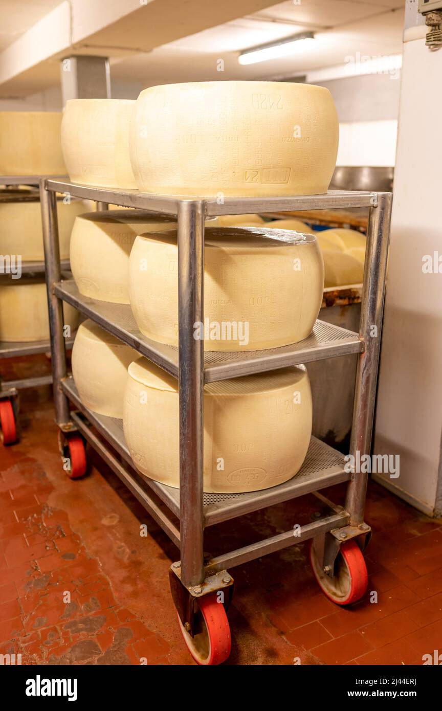 Process of making parmigiano-reggiano parmesan hard cheese on small ...