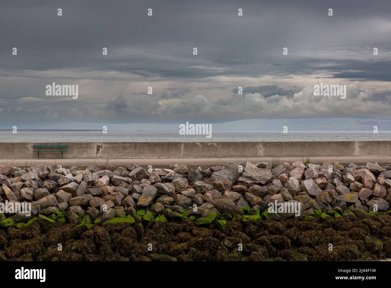 Seaweed and algae on seawall hi-res stock photography and images - Alamy