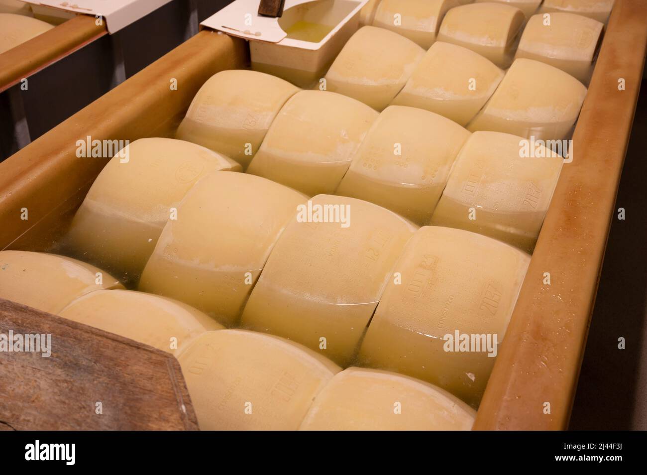Process of making parmigiano-reggiano parmesan hard cheese on small ...