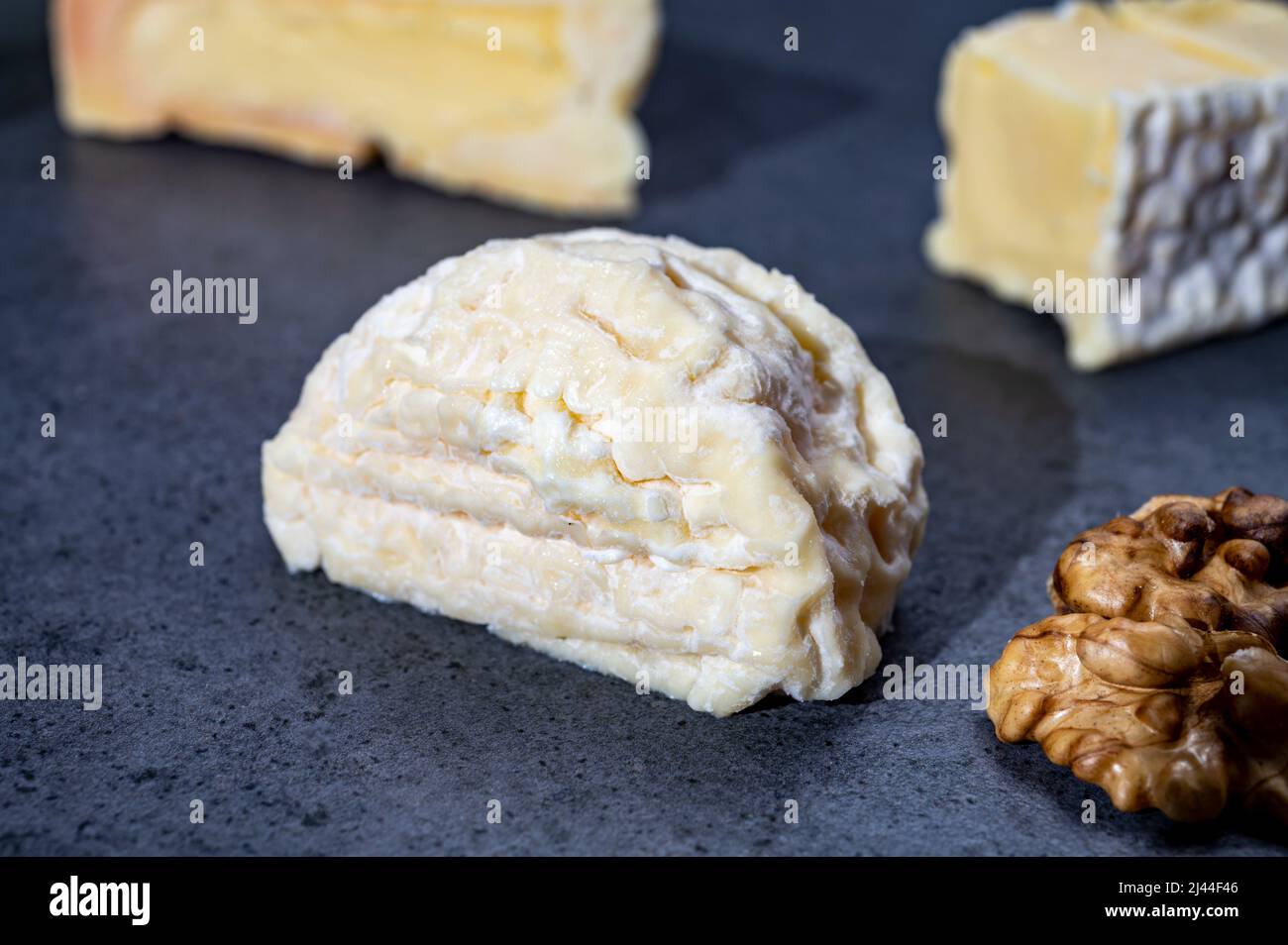 Creamy crottin goat cheese from France, french soft cheeses collection ...