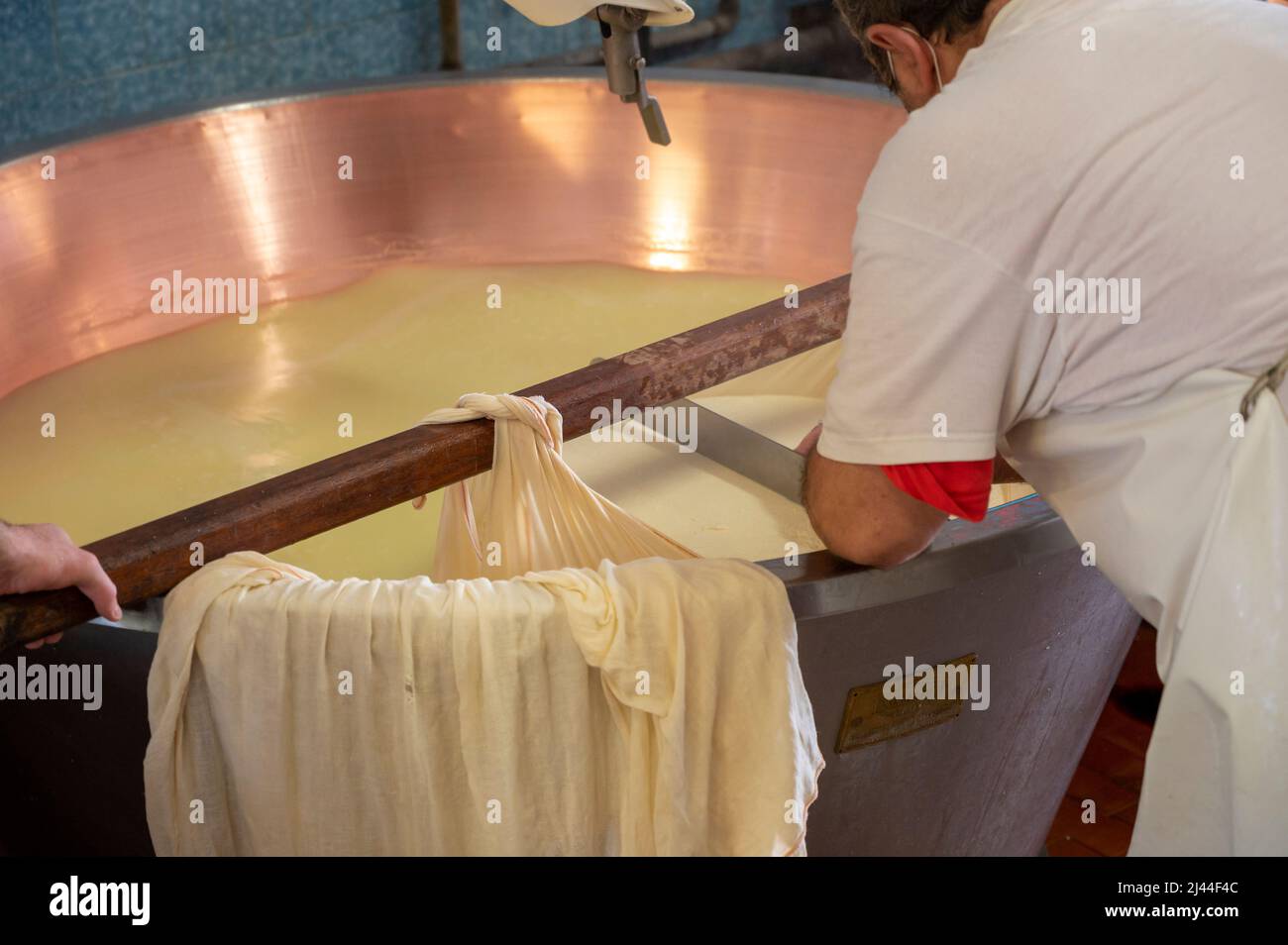 Traditional process of making from cow milk wheels of parmigiano ...
