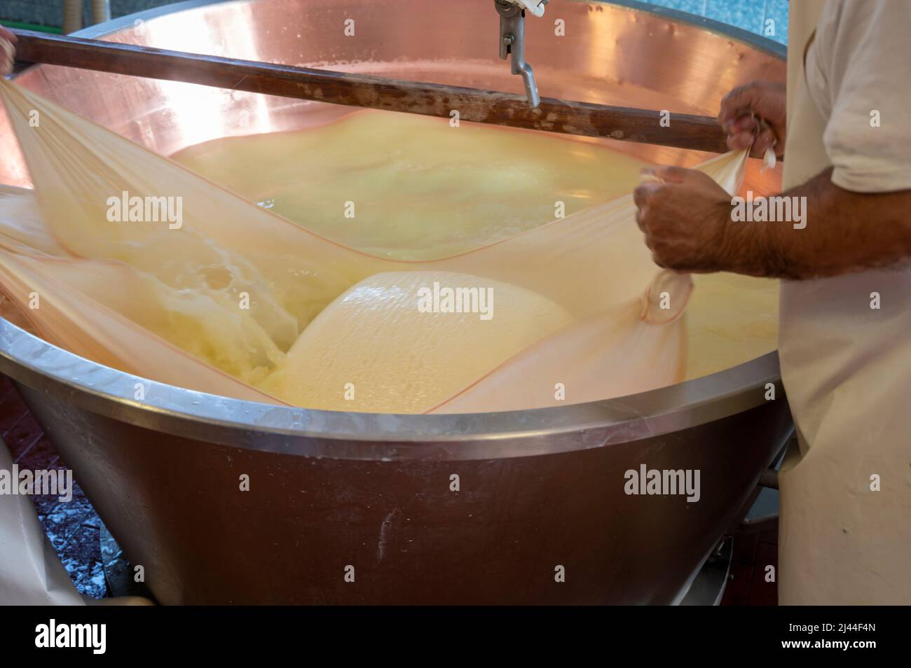 Traditional process of making from cow milk wheels of parmigiano ...