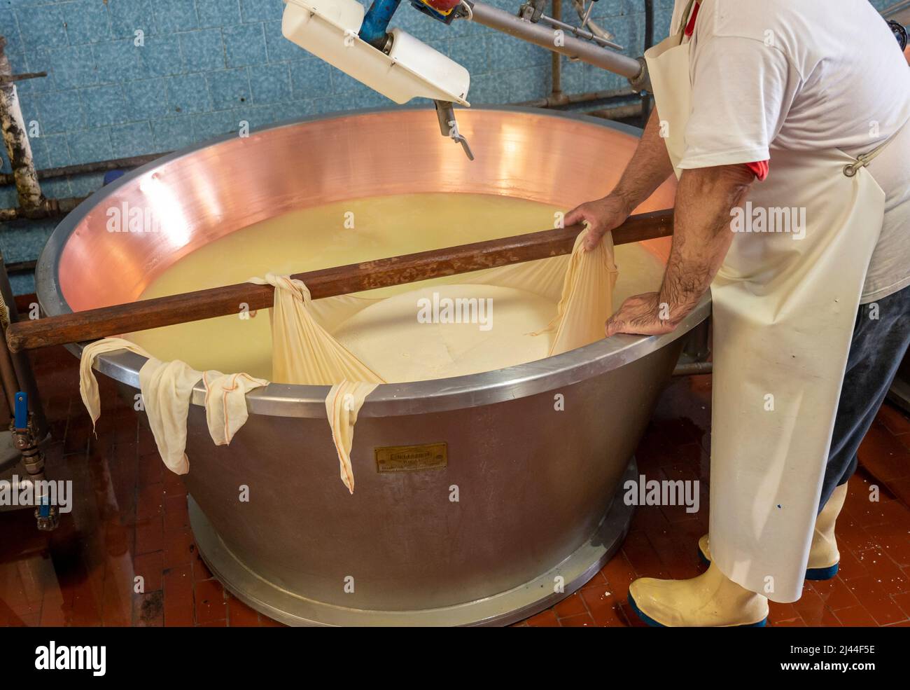 Traditional process of making from cow milk wheels of parmigiano ...