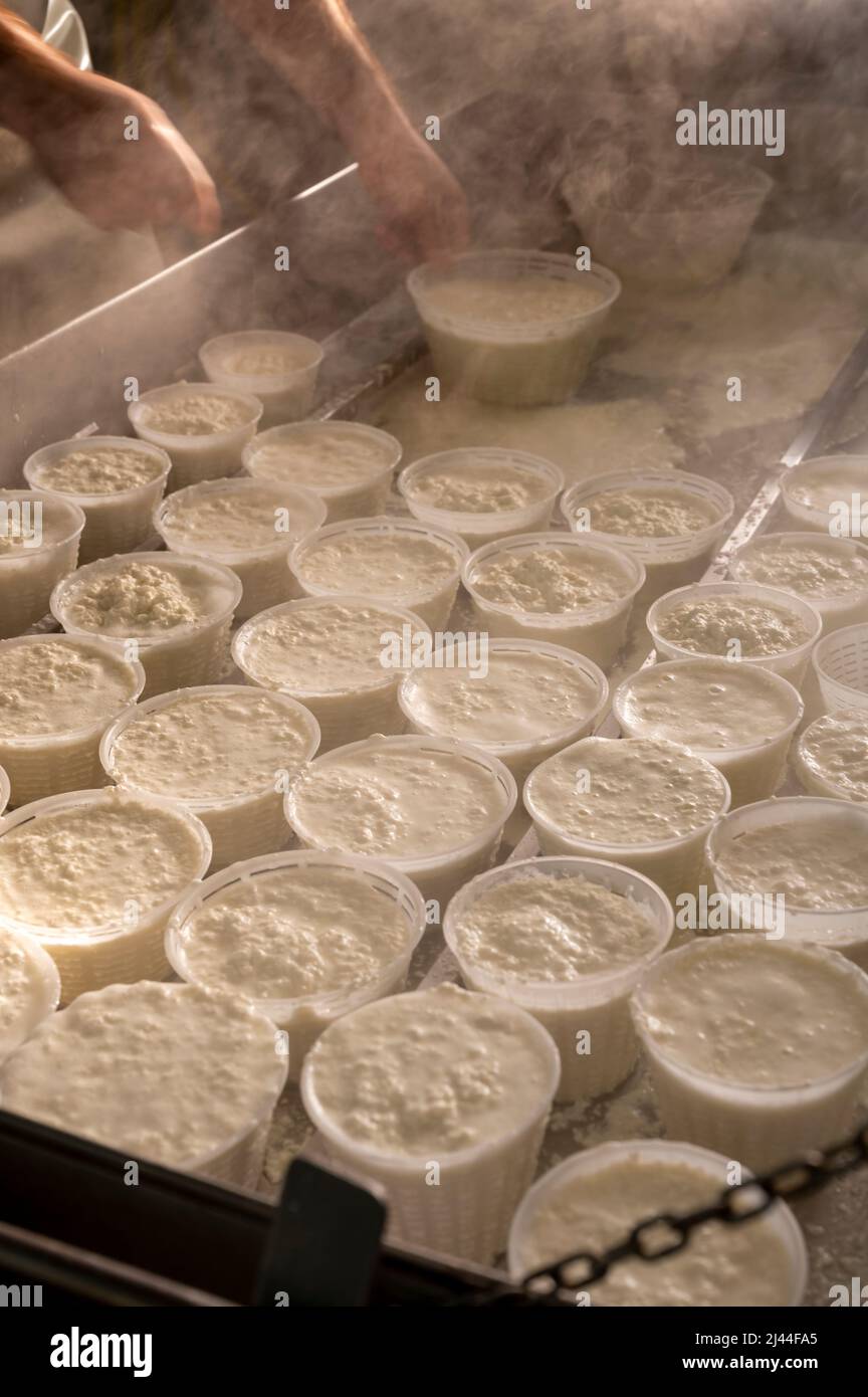 Process of making fresh white soft ricotta whey cheese early morning on ...