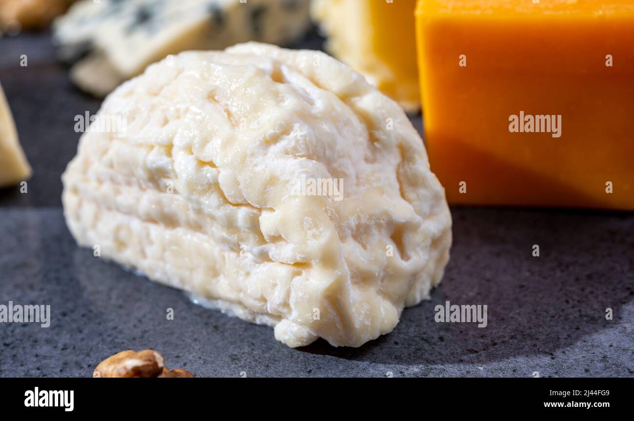 Creamy crottin goat cheese from France, french soft cheeses collection ...
