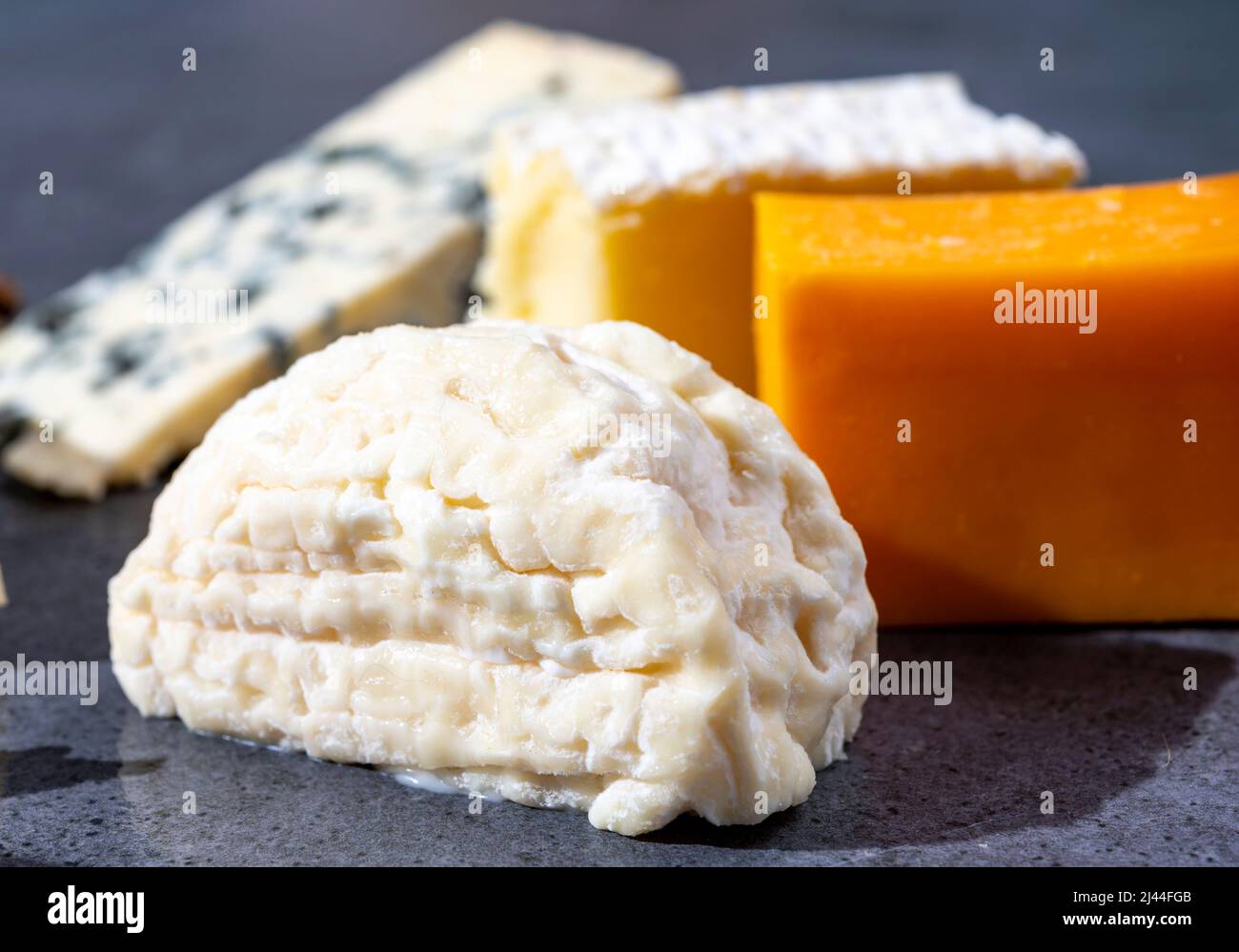 Creamy crottin goat cheese from France, french soft cheeses collection ...