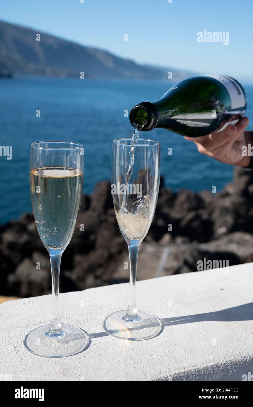 New year celebration with two glasses of champagne or Spanish cava ...